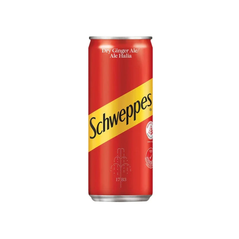 Schweppes Ginger Ale Can Drink (24 x 320ml) – DeliBox