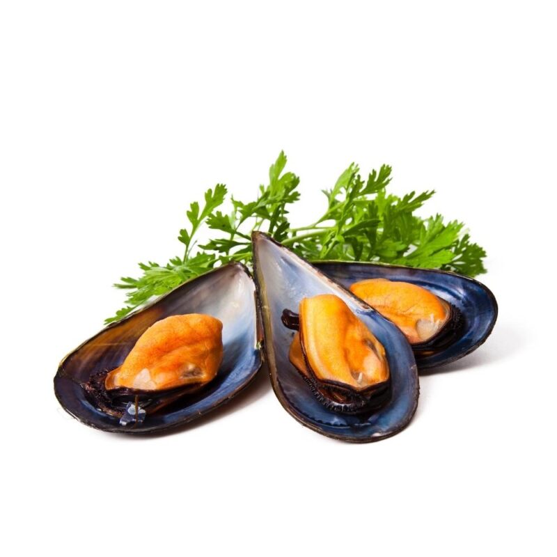 Emerald Half Shell Blue Mussel 1kg – DeliBox