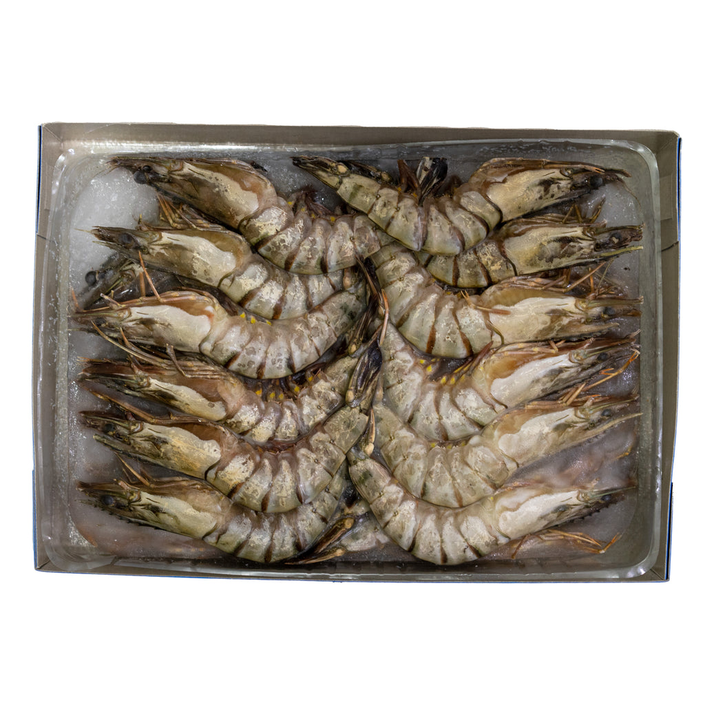 Wild Caught Tiger Prawn HOSO 31/40 1kg – DeliBox