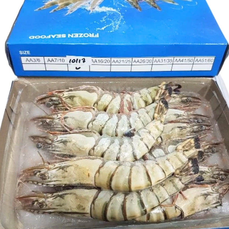 Wild Caught Tiger Prawn HOSO 10/12 1kg – DeliBox